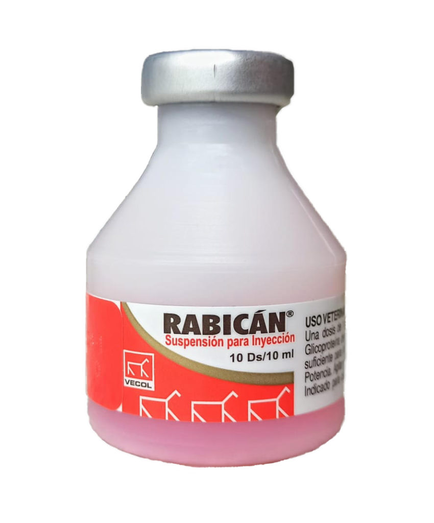 Animales de compañía | VECOL