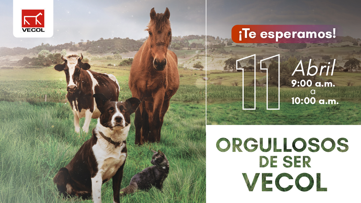 Evento Orgullosos de ser Vecol 2025 - VECOL